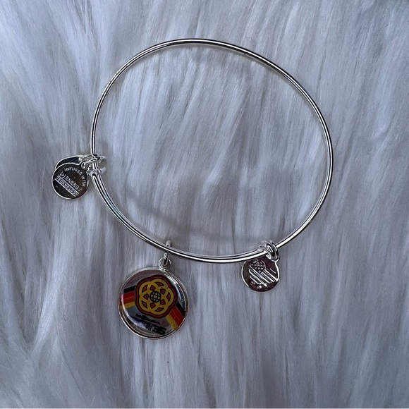 Alex and Ani | Jewelry | Alex And Ani Disney Epcot Resin Charm Bangle ...
